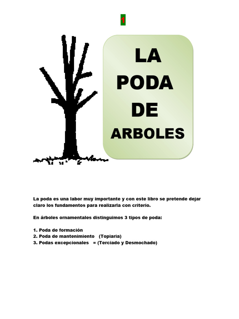 Tipos y Técnicas de Poda de Árboles | PDF | Arboles | Tallo de la planta