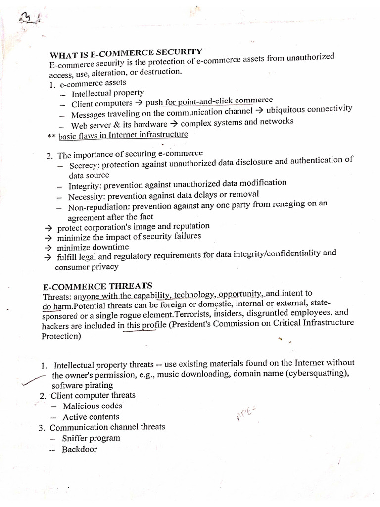 E Commerce Security and Threat | PDF