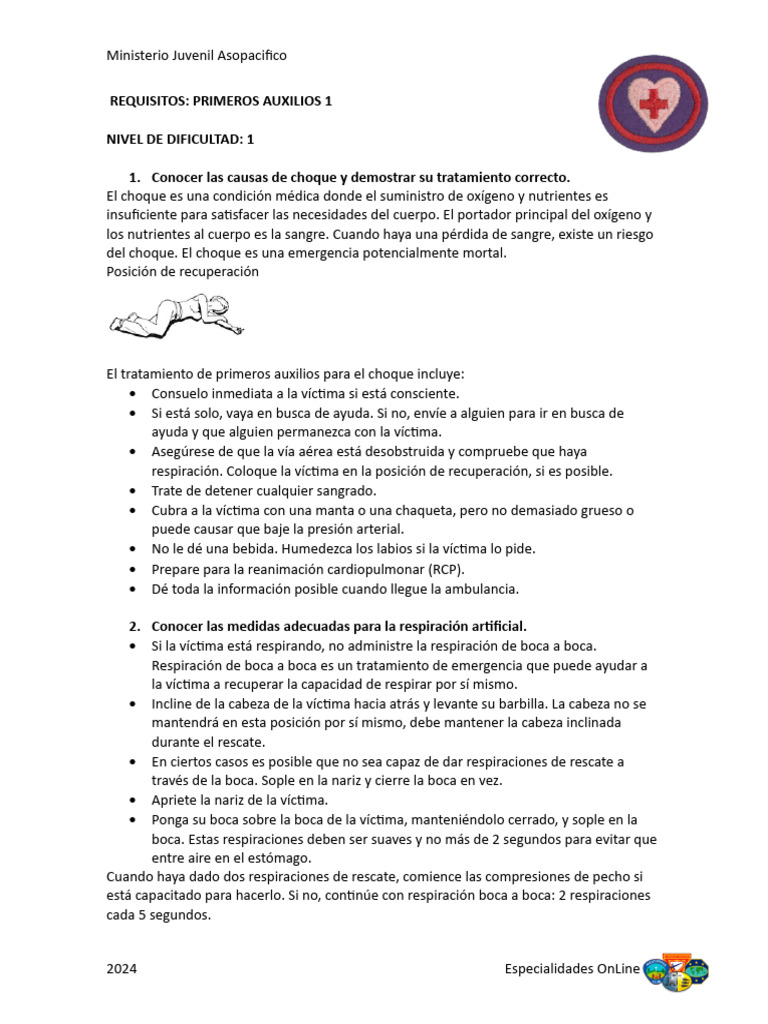 Primeros Auxilios: Choque y RCP | PDF | Reanimación cardiopulmonar | Rabia