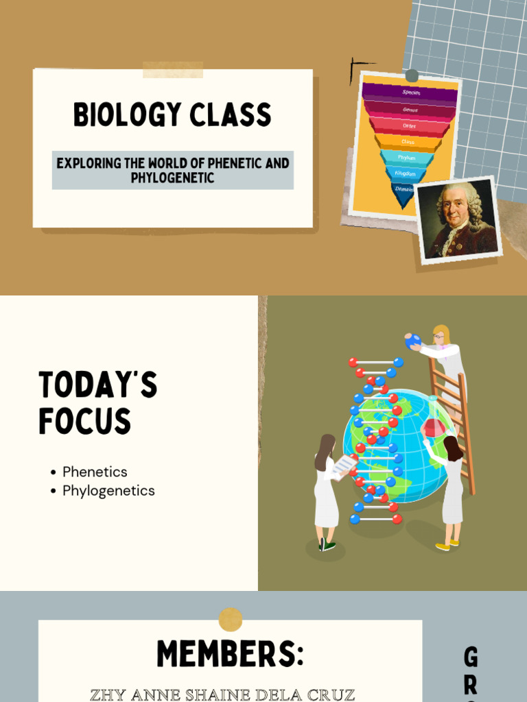 Classification of Living Things Education Presentation in Collage Neat ...