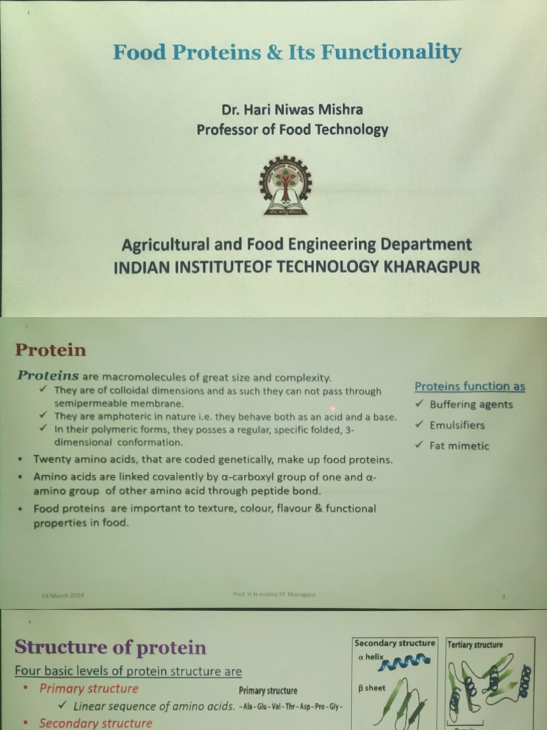 5 Food Proteins & Its Functionality HNM | PDF