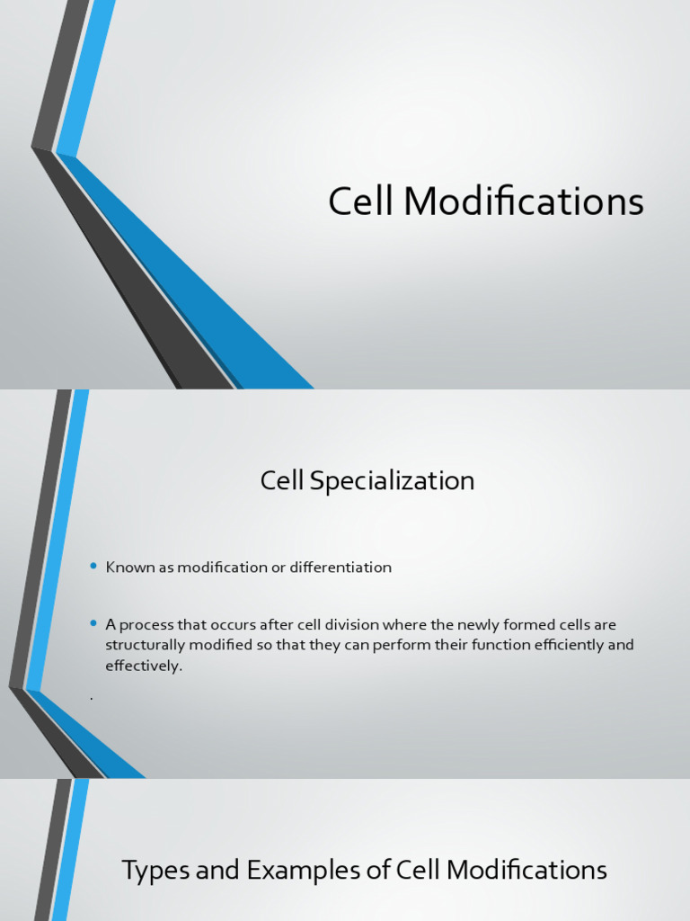 Cell Modifications MELC 5 | PDF | Cell Adhesion | Epithelium