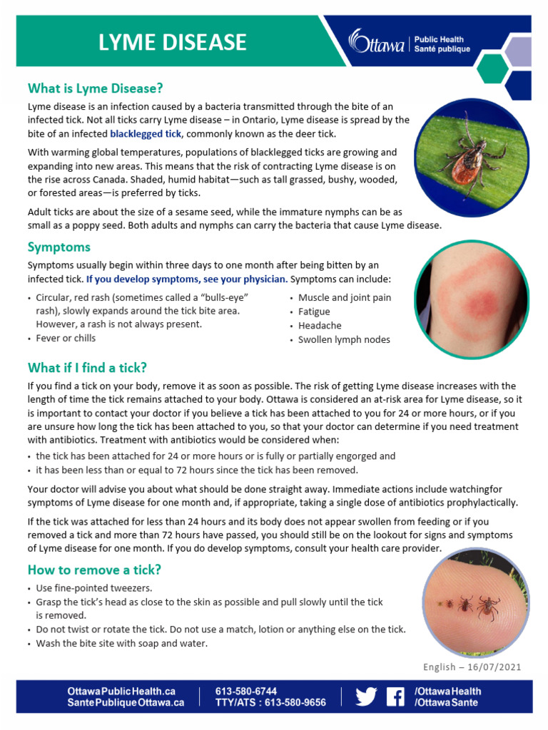 Lyme Tick en | PDF | Lyme Disease | Medicine