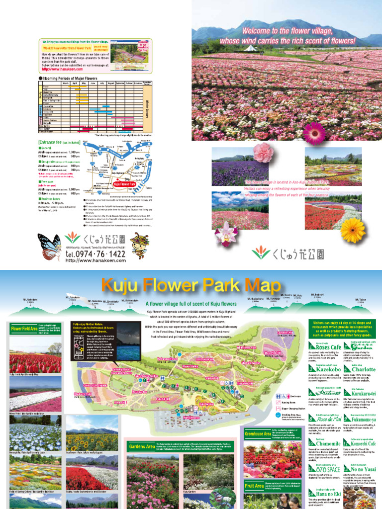 Kuju Flower Garden | PDF