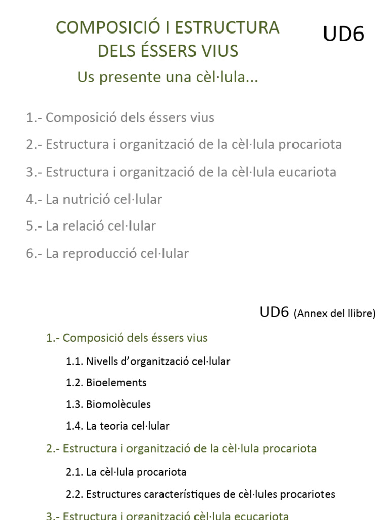 UD6 Comp Estruc Eevv SENCER | PDF