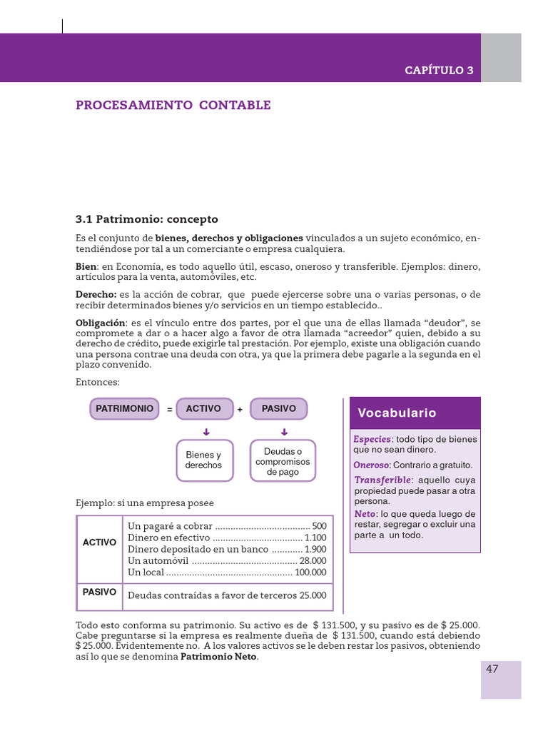 Procesamiento Contable Capitulo Del Libro | PDF | Contabilidad | Bancos