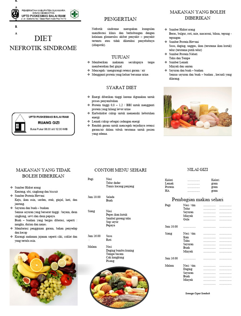 Diet Nefrotik Sindrome | PDF