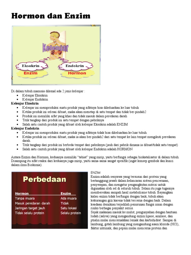 Enzim dan Hormon: Fungsi dan Peran dalam Tubuh | PDF | Kesehatan ...
