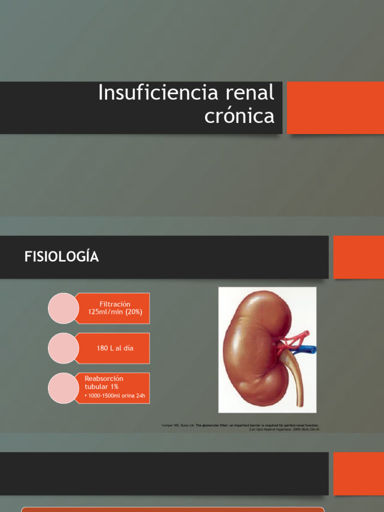 Insuficiencia renal crónica 4 | PDF | Medicina CLINICA | Sistema genitourinario
