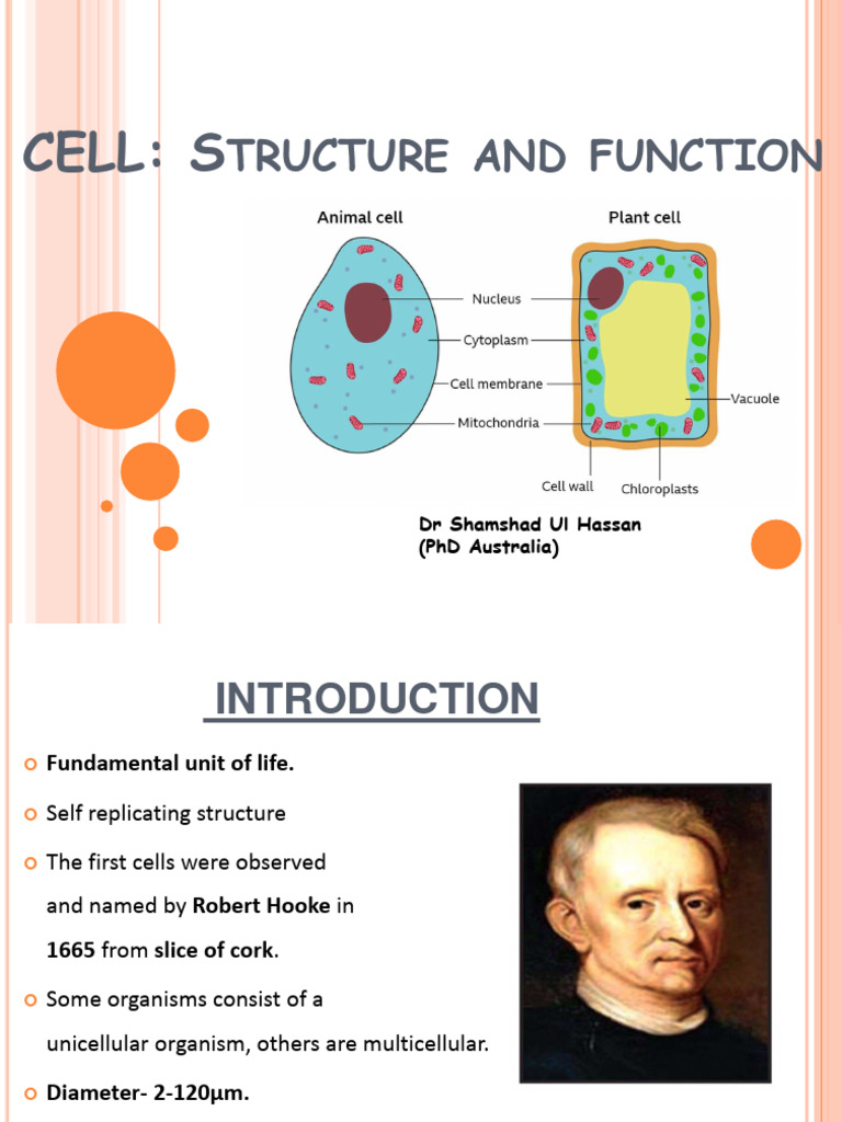 Cell Structure and Function | PDF | Cell Nucleus | Cytoplasm