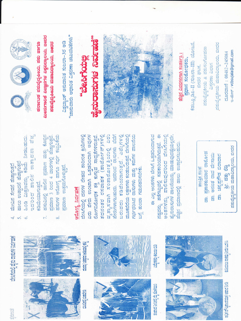 Summer Management Pdf