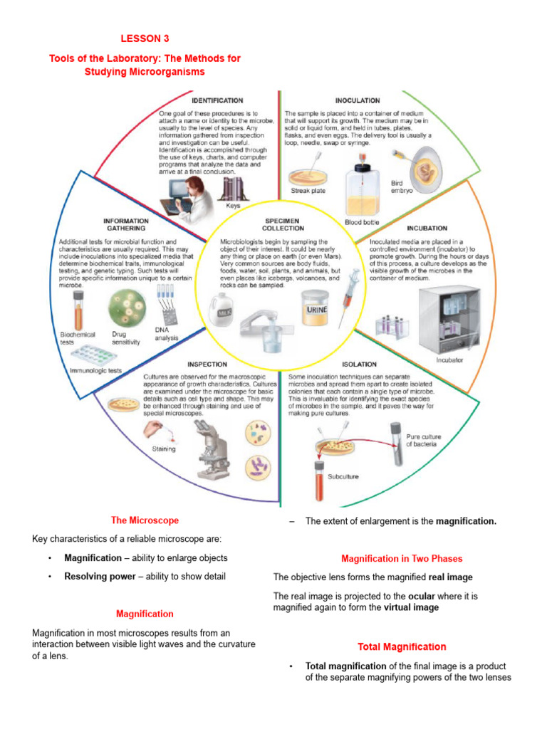 1 3-Micropara | PDF | Growth Medium | Staining