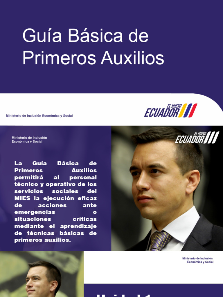 Guía Básica Primeros Auxilios | PDF | Reanimación cardiopulmonar | Epilepsia