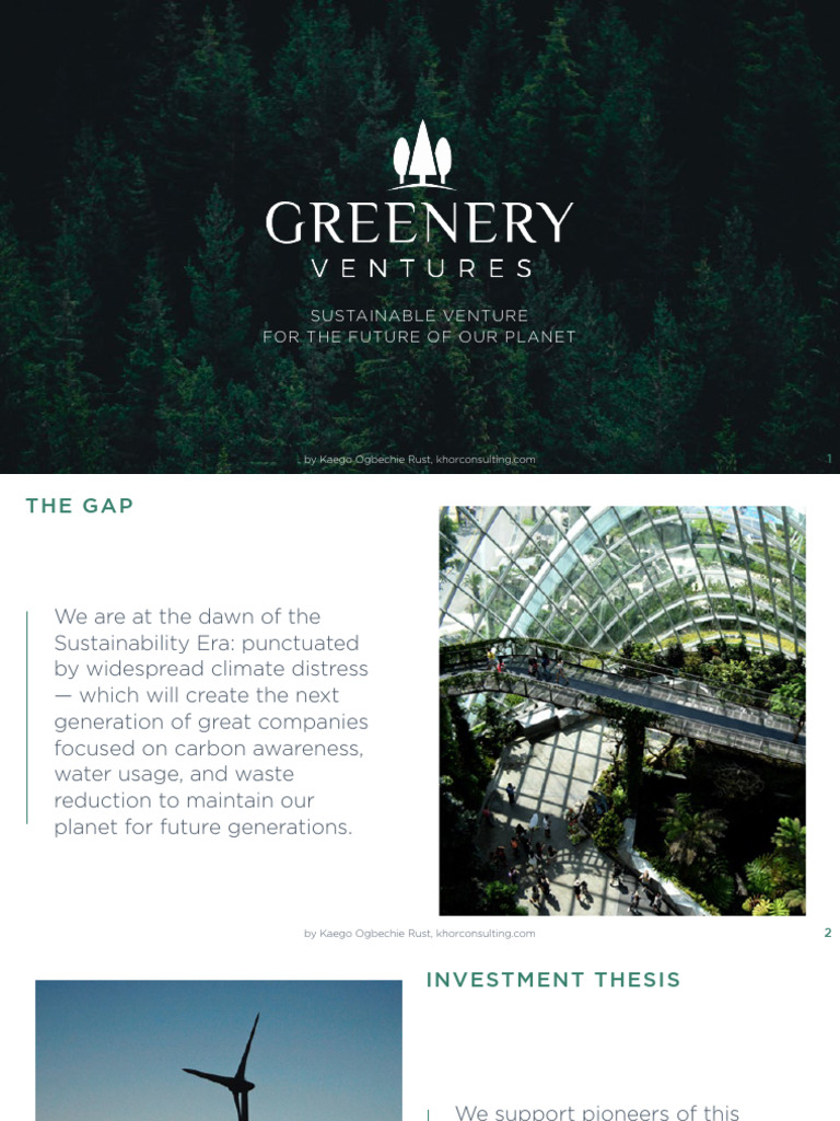 Sample Pitch Deck For Your Fund - by Kaego Ogbechie Rust | PDF ...