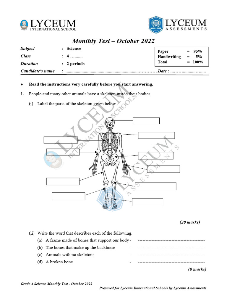 Grade 4 Science | PDF | Penguin | Skeleton