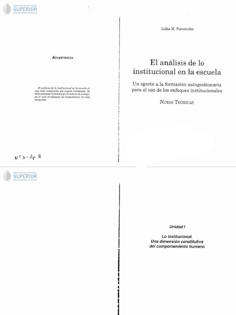 El Analisis Institucional Lidia Fernandez | PDF