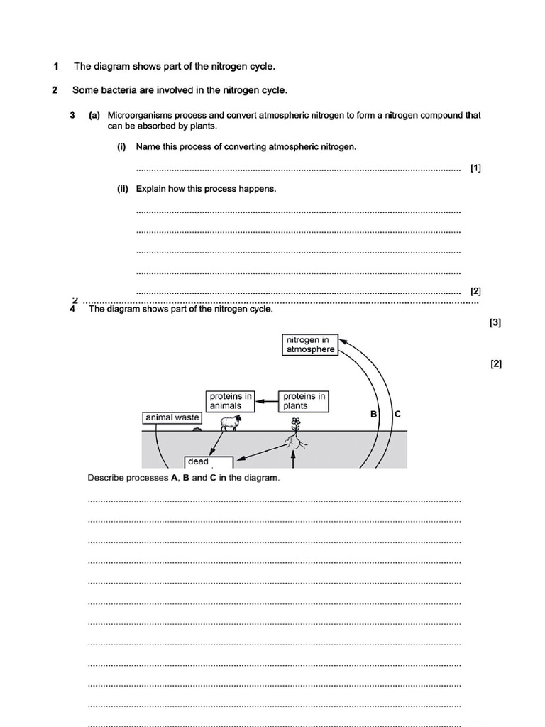 Nitrogen cycle past paper Qs | PDF