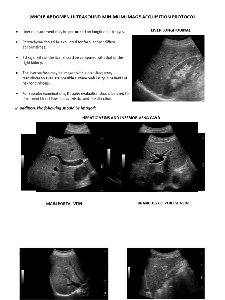 Doris Whole Abdomen Protocol | PDF | Medical Ultrasound | Liver