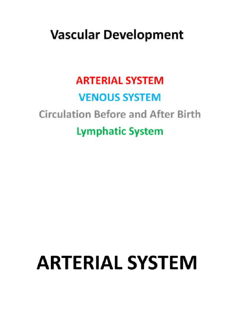 Vascular Development | PDF