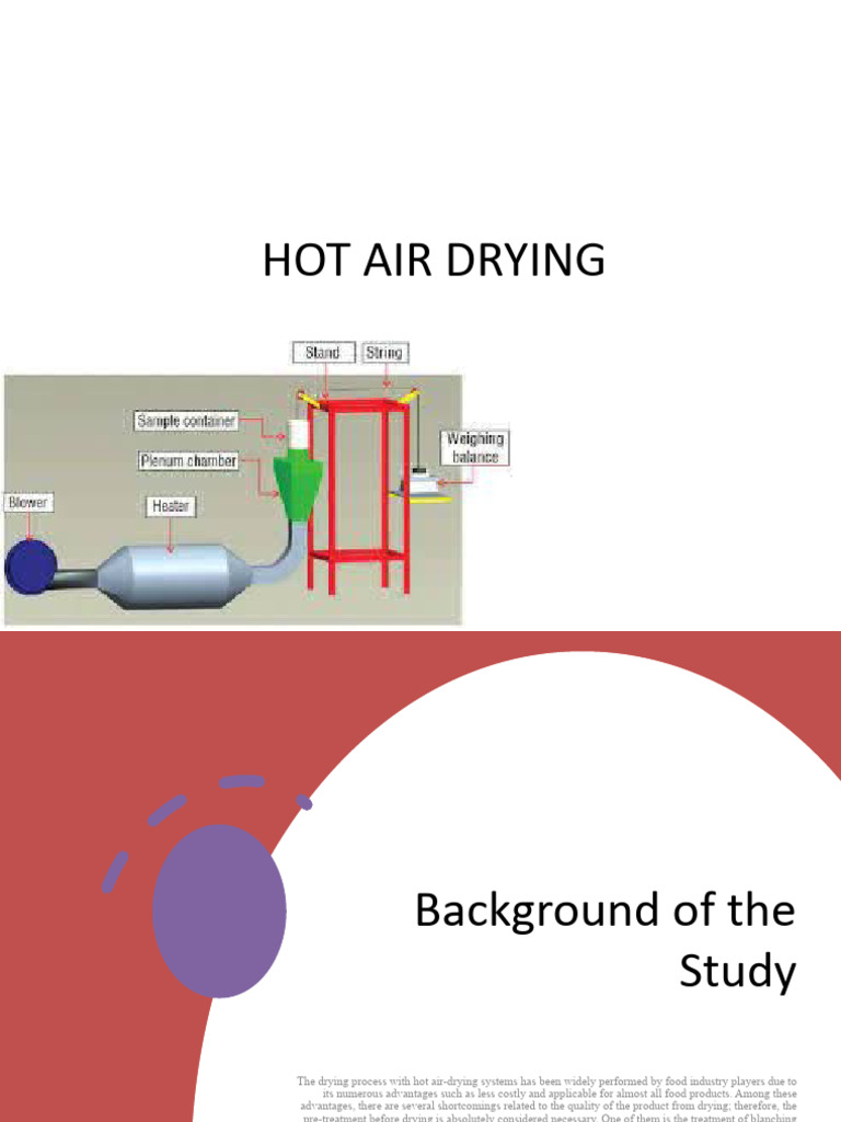 Food Preservation Via Hot Air Drying | PDF | Potato | Osmosis