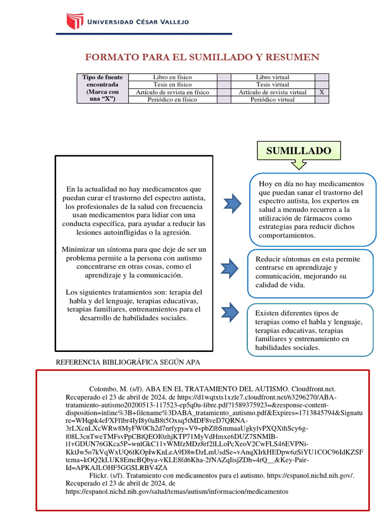 S03 Formato para Sumillado y Resumen | PDF | Espectro autista | Terapia
