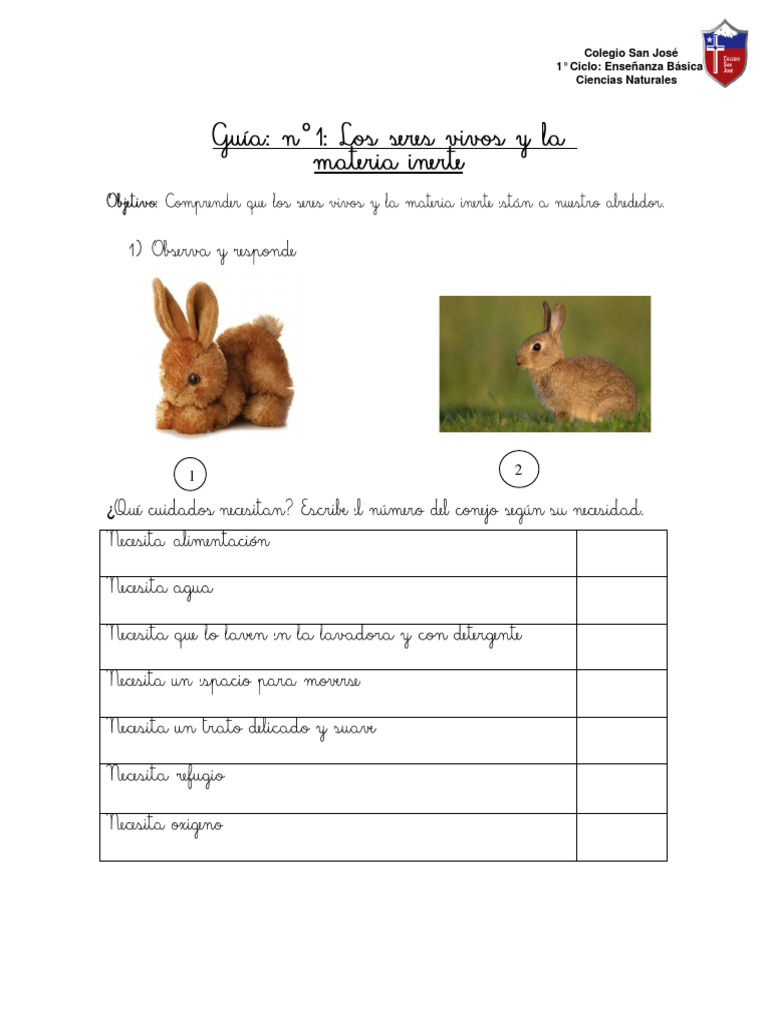 Guia Seres Vivos e Inerte 1ro AB Mayo | PDF