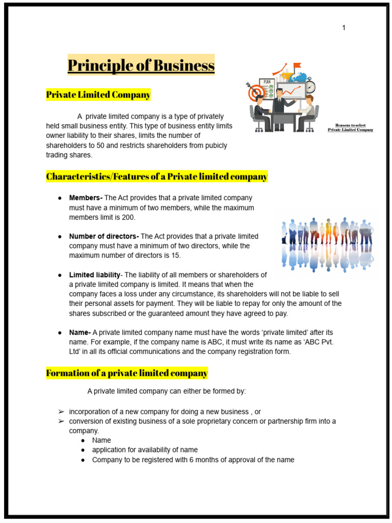 Principle of Business | PDF | Limited Company | Financial Economics
