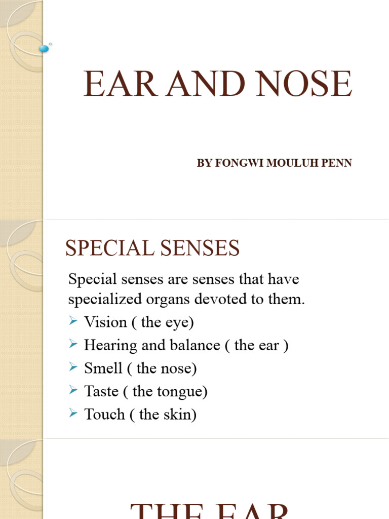 Special Senses (Ear and Nose) | PDF | Ear | Hearing