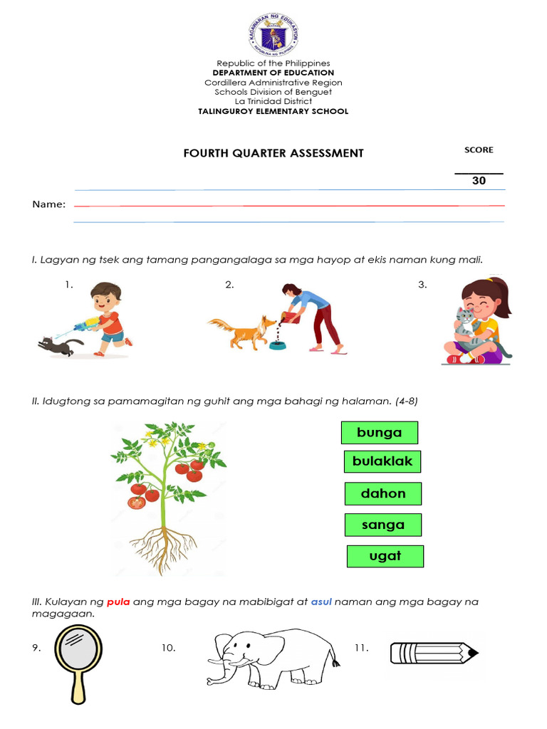 Fourth Quarter Assessment | PDF