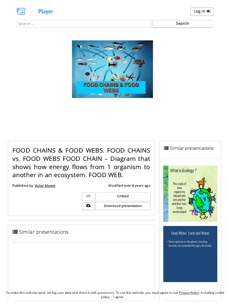 Food Chains vs. Food Webs Explained | PDF | Food Web | Plankton