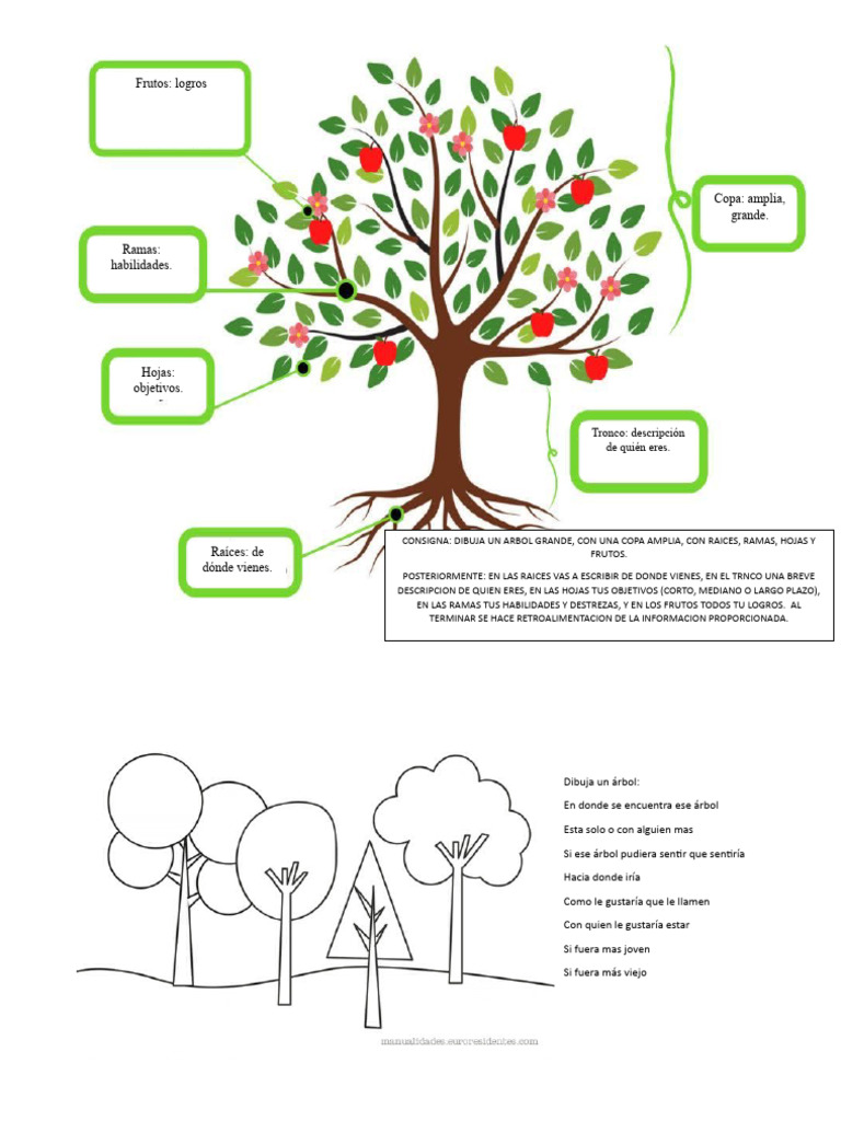 Arbol | PDF