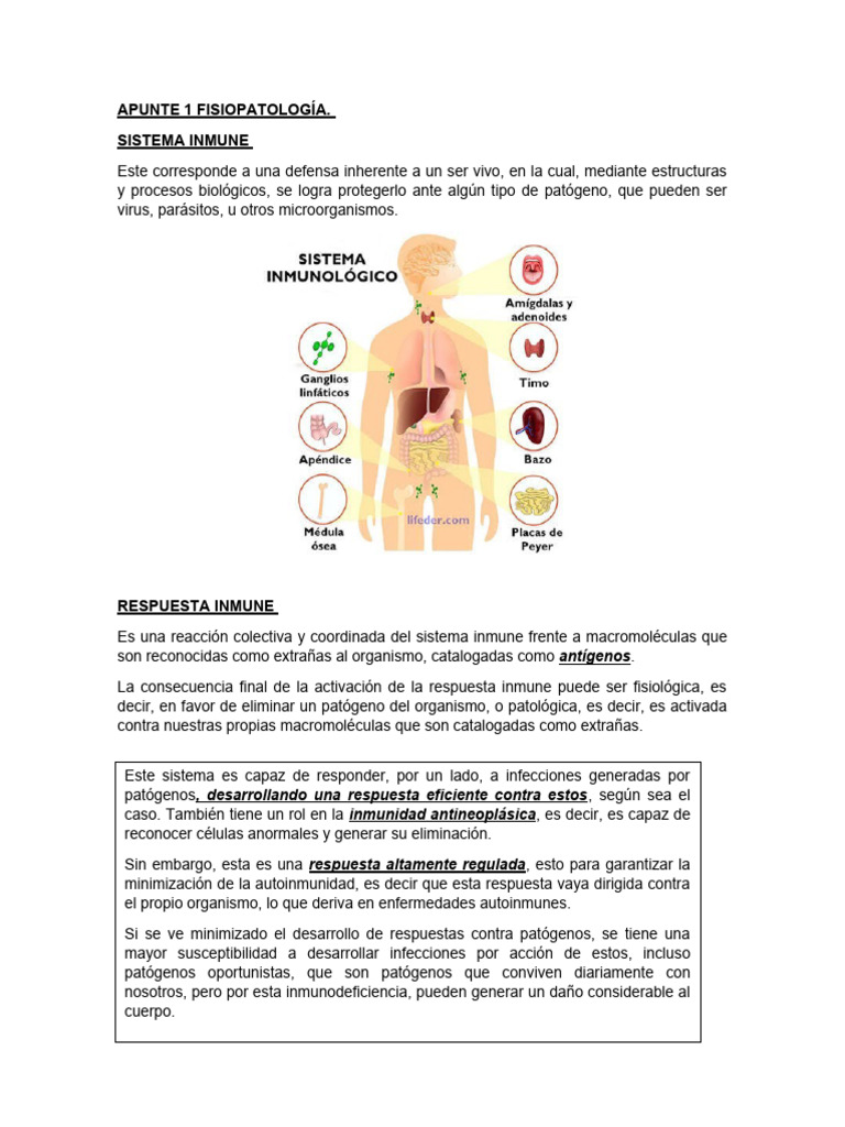 APUNTE 1 FISIOPATOLOGÍA | PDF | Sistema complementario | Sistema inmune