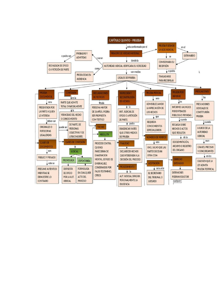 mapa conceptual | PDF