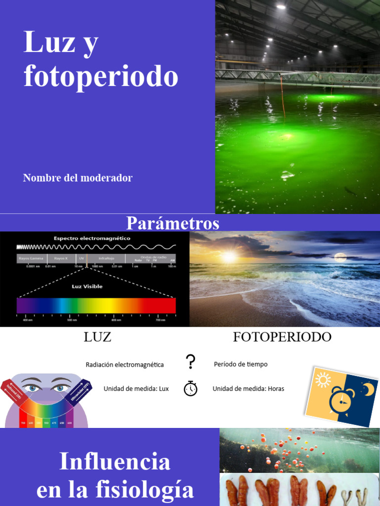 Luz y Fotoperiodo | PDF | Ligero | Encendiendo