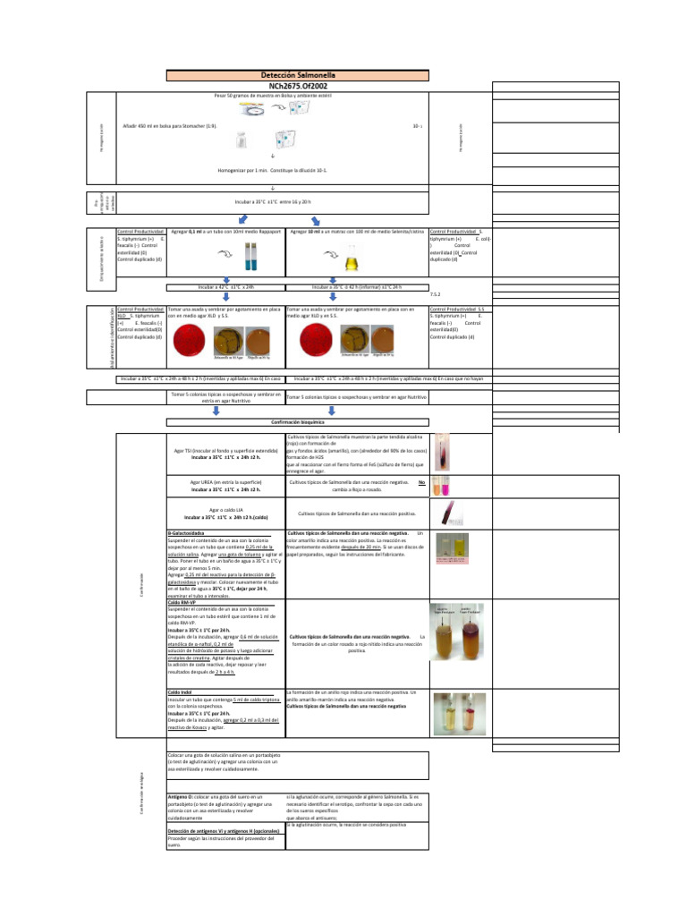 02.detección Salmonella-Diagrama de Flujo | PDF