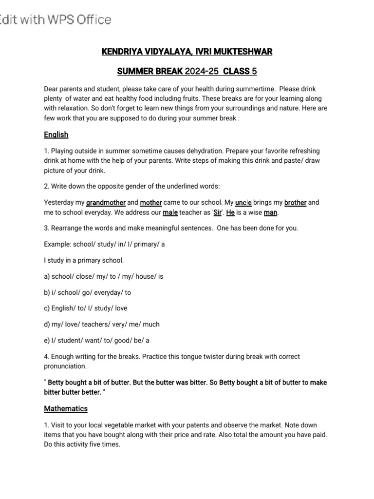 Class 5 Summer Break HHW | PDF