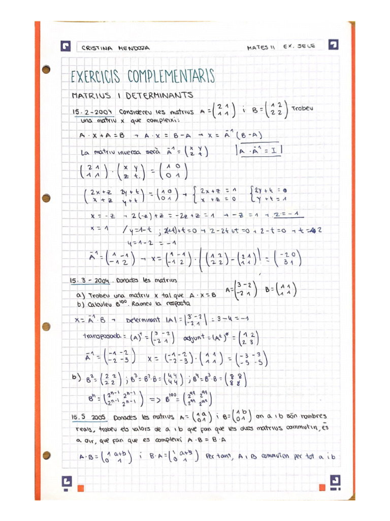 Exercicis Complementaria Matrius I Determinants | PDF