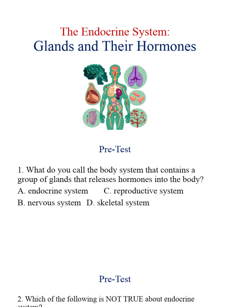 The Endocrine System | PDF | Endocrine System | Luteinizing Hormone