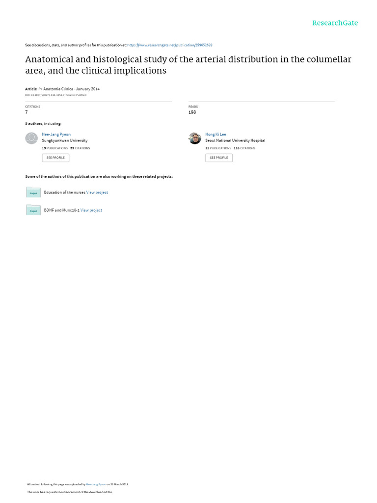 Columellar Artery | PDF | Human Nose | Morphology (Biology)