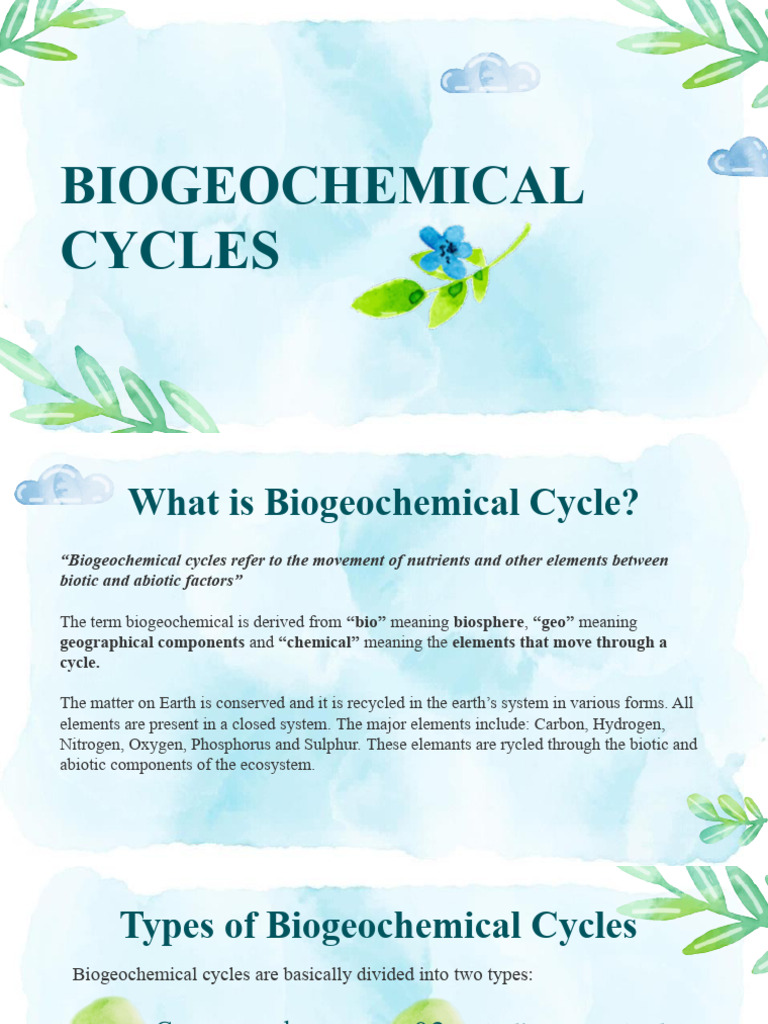 Biogeochemical Cycles | PDF | Carbon Cycle | Ecosystem