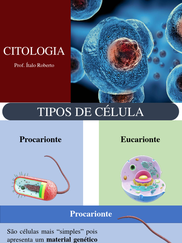 CITOLOGIA | PDF | Célula (Biologia) | Citoplasma