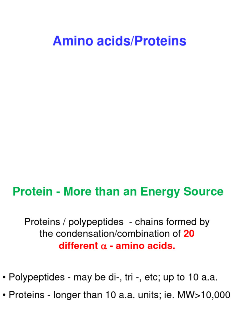 Proteins | Download Free PDF | Amino Acid | Proteins