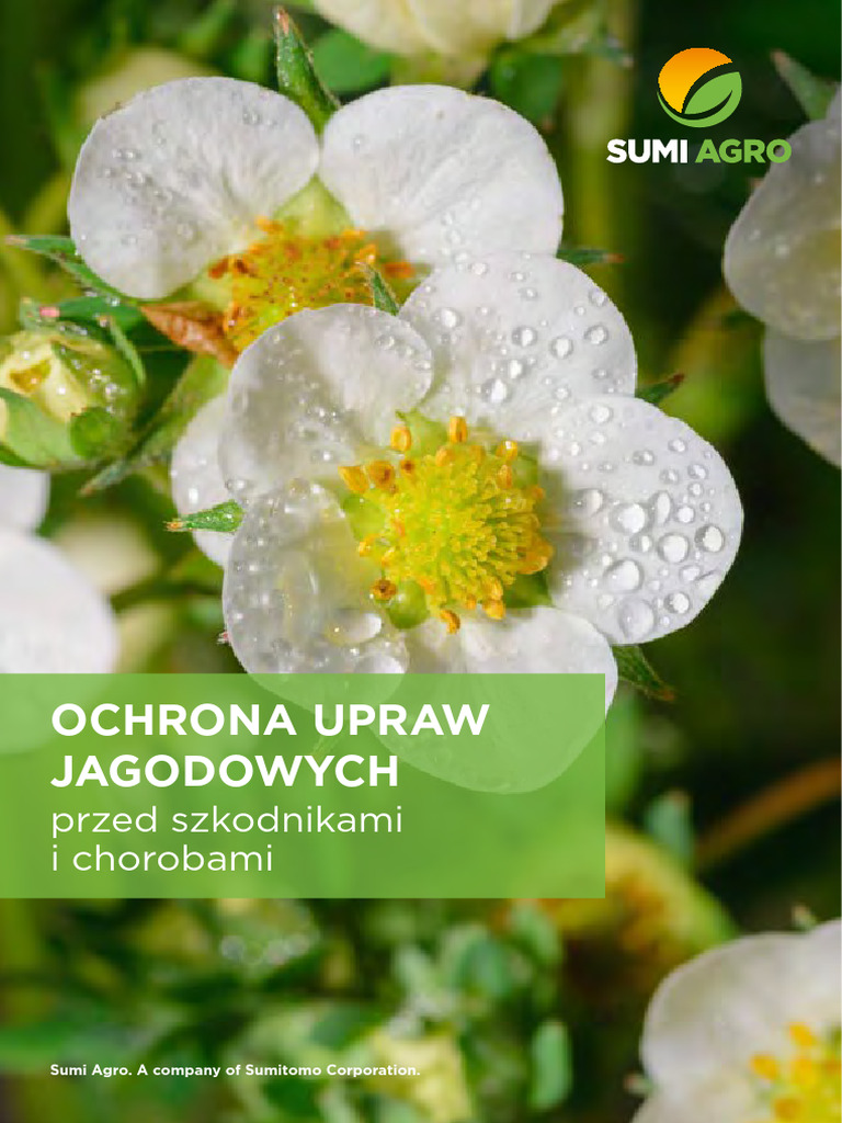 Ochrona Upraw Jagodowych Broszura | PDF