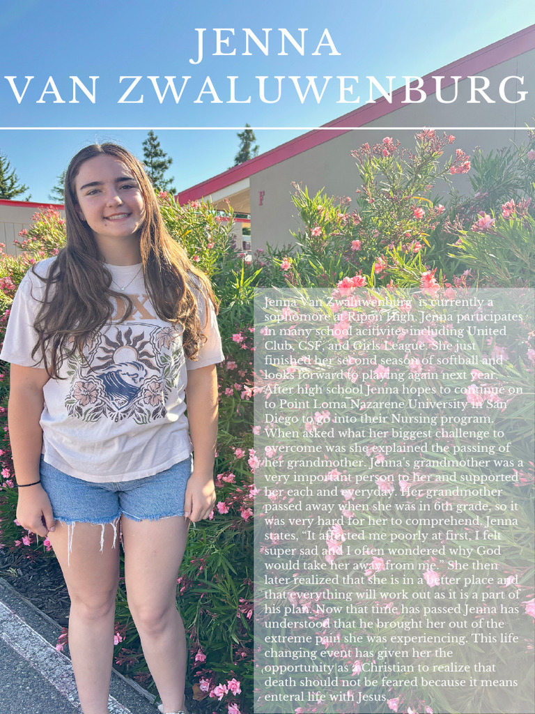 resume theme concept references introduction profiles 1 | PDF