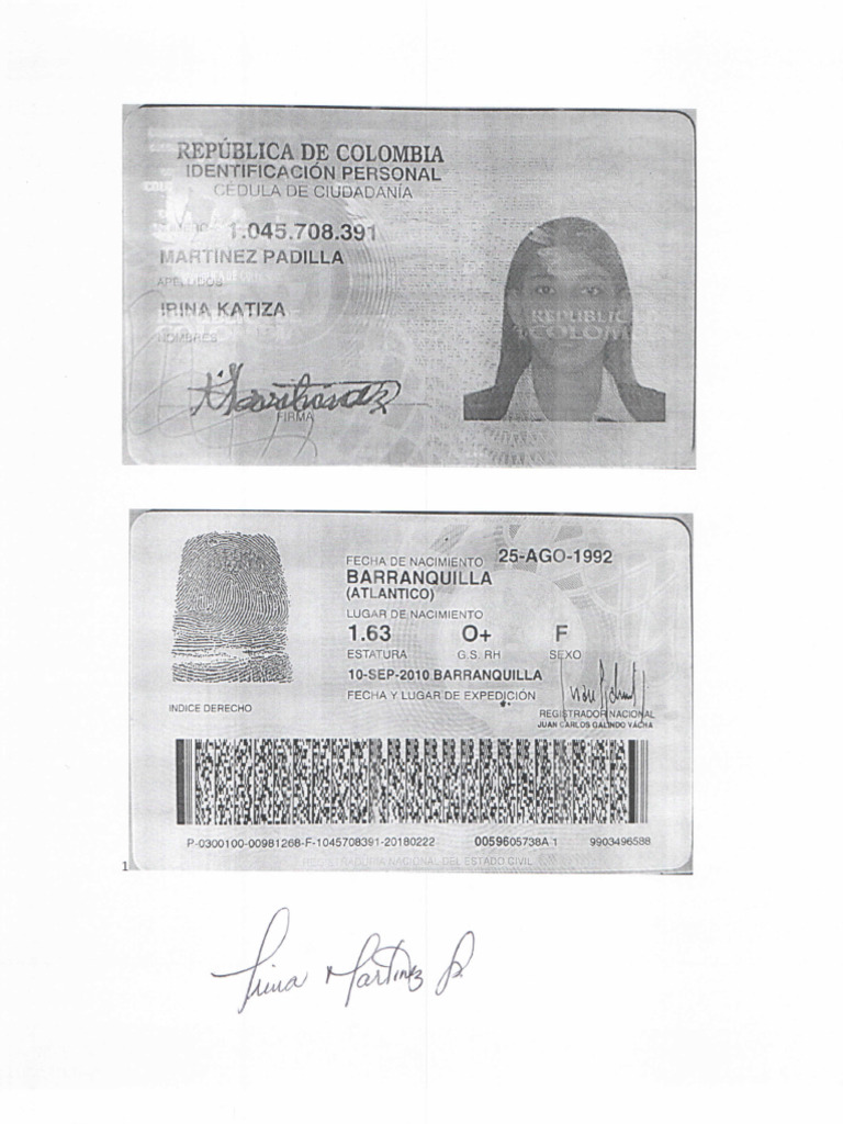 CC - Irina Katiza Martinez Padilla | PDF