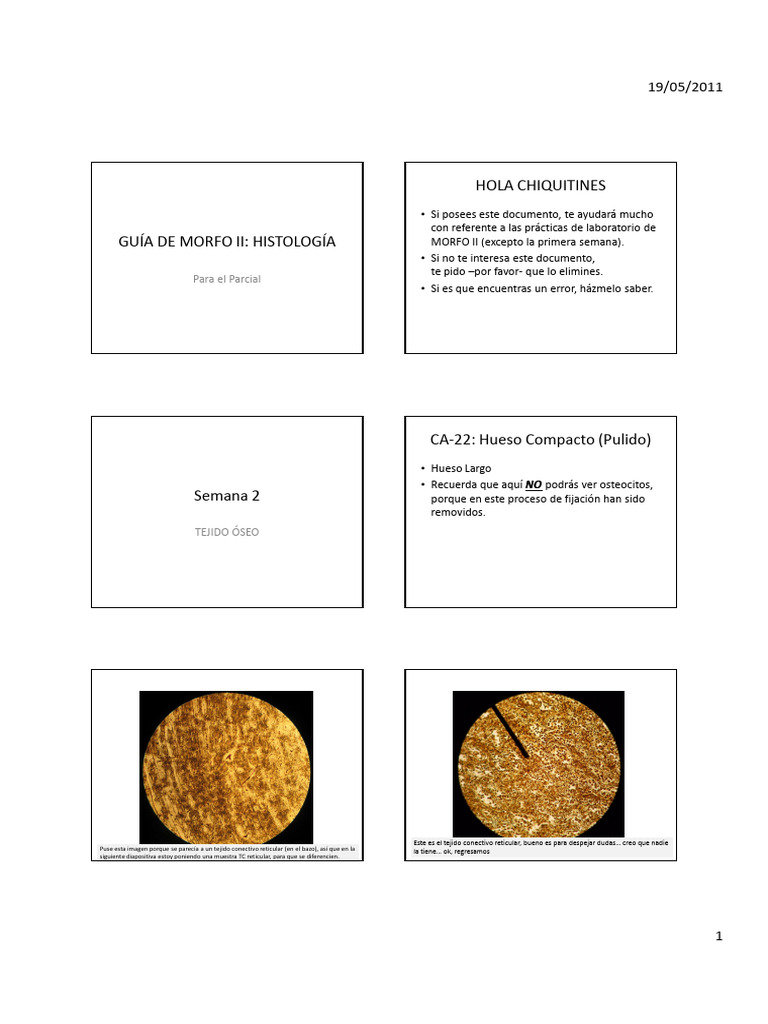 Histo II | PDF | Hueso | Músculo