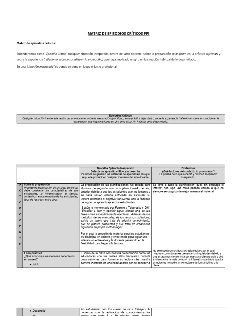 Formato MEC | PDF | Evaluación | Experiencia