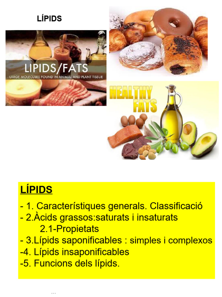 LIPIDS | PDF