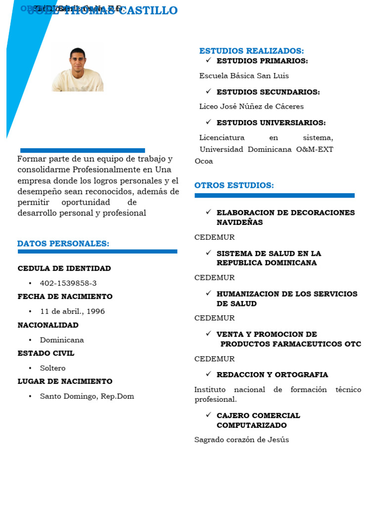 Curriculum Joel Thomas Castillo | PDF | Etapas educativas