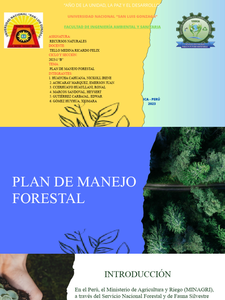 G 1 Plan Dem Anejo Forestal | PDF | Los bosques | Gestión de bosques